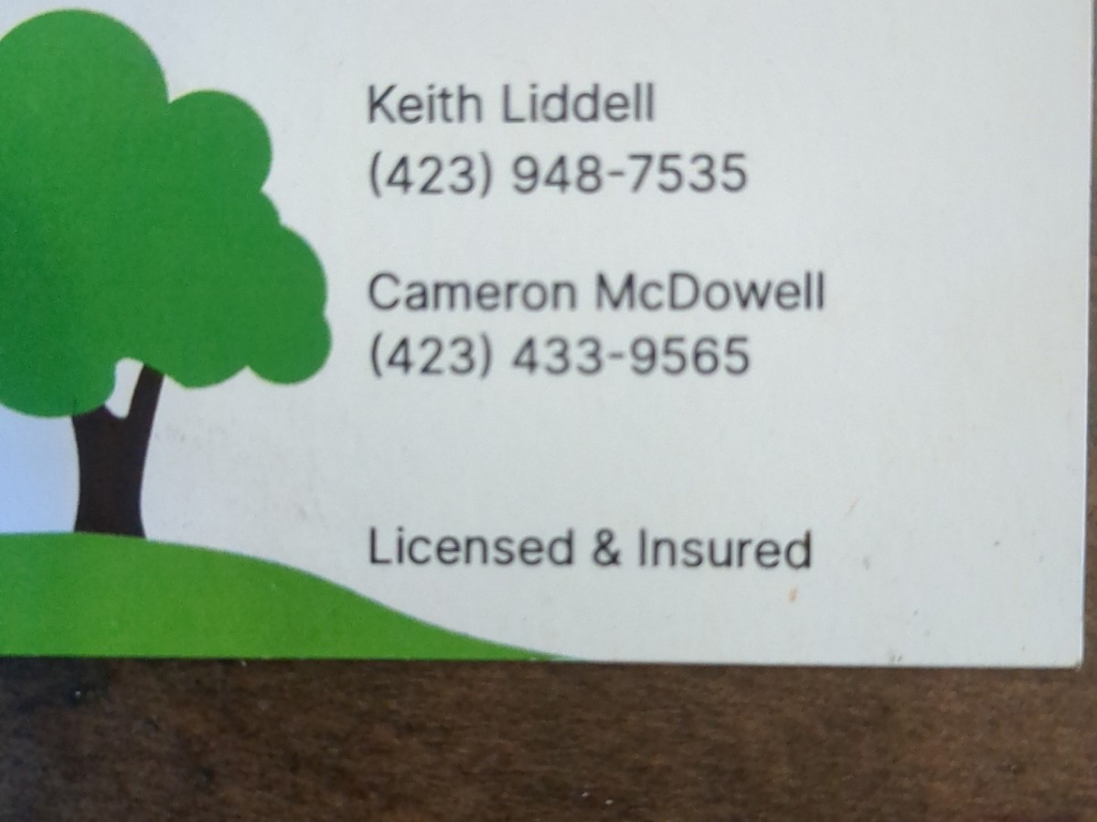 All Star Tree Service Limestone, TN, 37681 | Networx