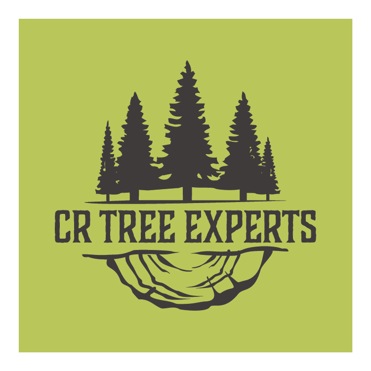 CR Tree Experts Buford, GA, 30519 | Networx