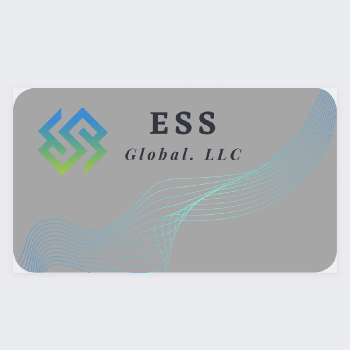 Ess Global llc Irving, TX, 75062 | Networx
