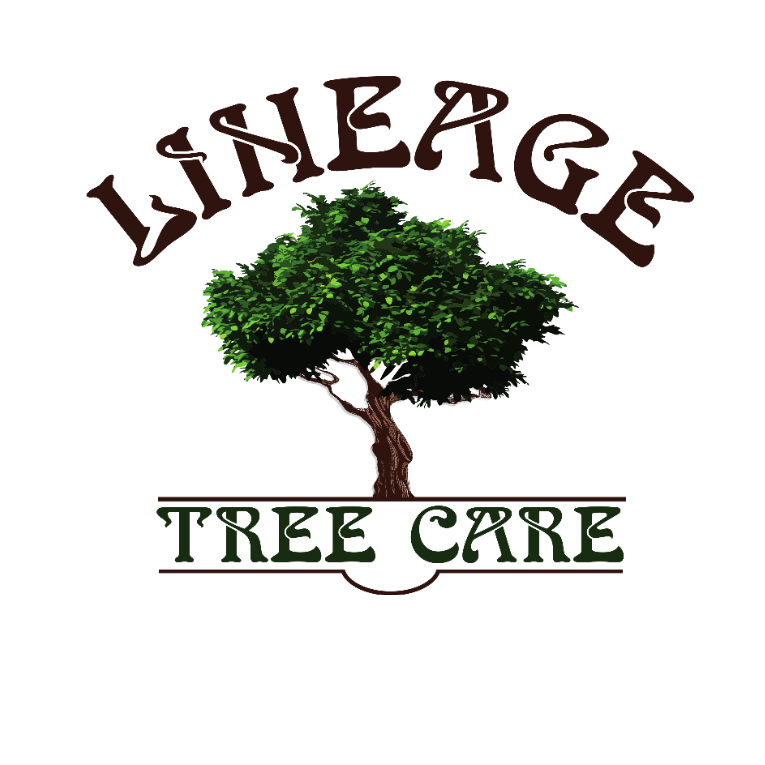 Lineage Tree Care Monroe, WA, 98272 | Networx