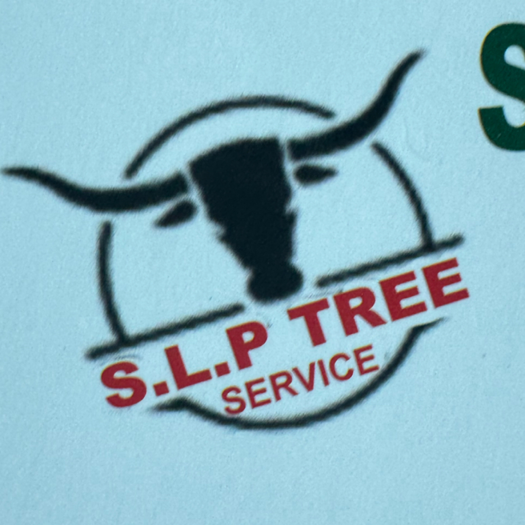 SLP Trees Spring, TX, 77386 | Networx