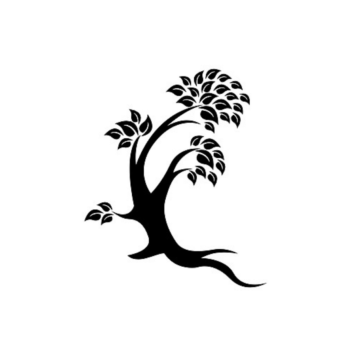 Revision Tree Company Albuquerque, NM, 87123 | Networx