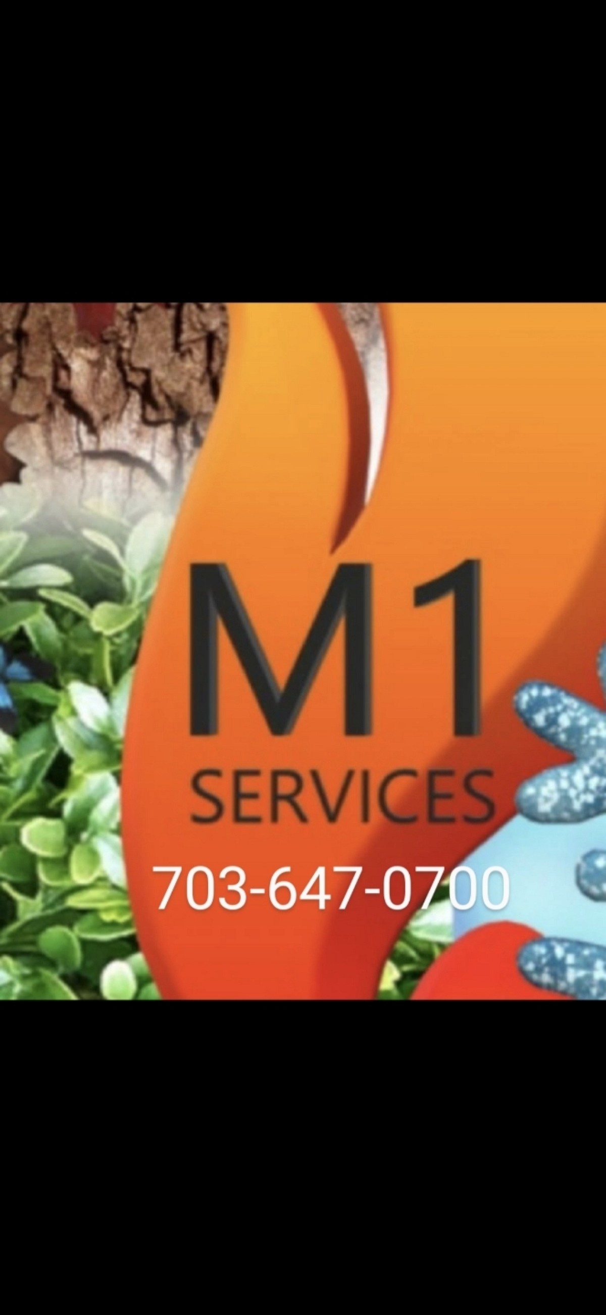 M1 Services Alexandria, VA, 22306 | Networx