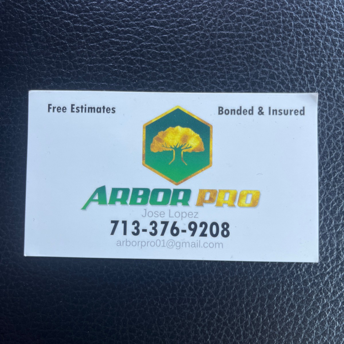 Arbor Pro tree service Brandon, MS, 39042 | Networx