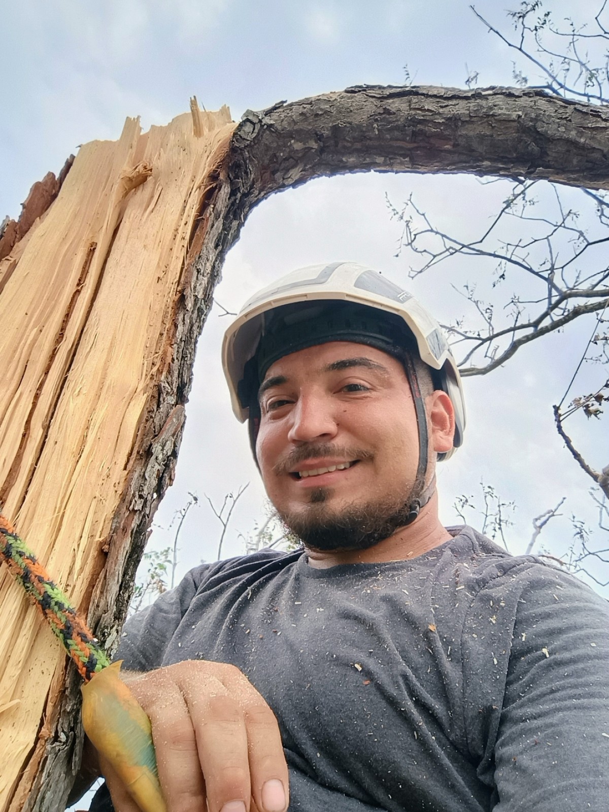 Tree-Mendous Care Harker Heights, TX, 76548 | Networx