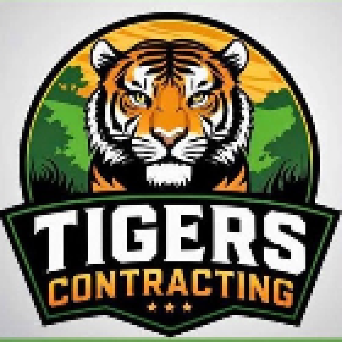 Tigers Contracting LLC Wellington, MO, 64097 | Networx
