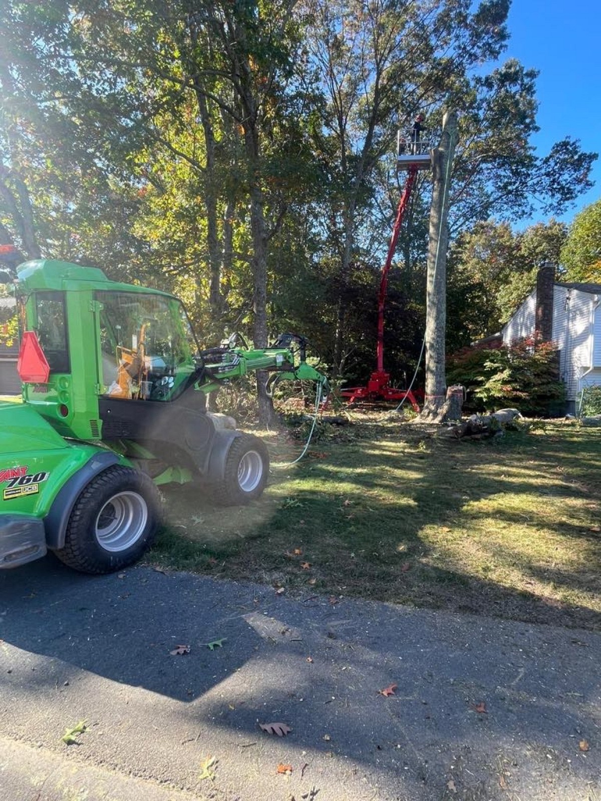 Pine Tree Service Lynn, MA, 01905 | Networx