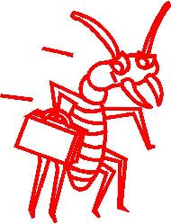 G Man Exterminating and Pest Control Stormville, NY, 12582 | Networx