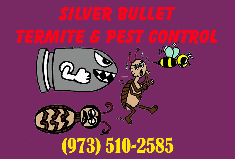 Silver Bullet Pest Control Garfield, NJ, 07026 | Networx