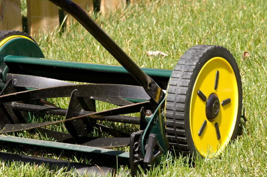 How Do Push Reel Mowers Compare to Rotary Mowers? | Networx