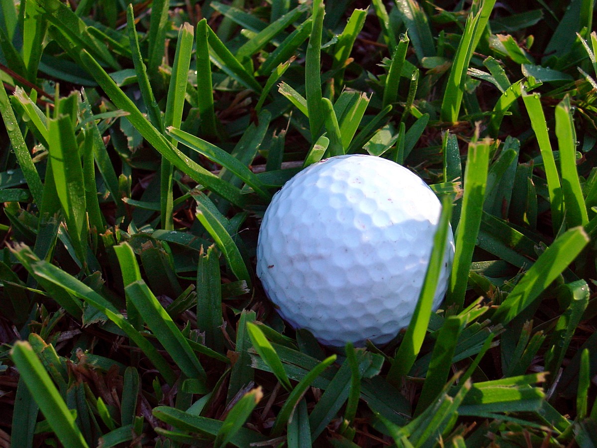 What Are 7 Creative Ways to Reuse Golf Balls? | Networx