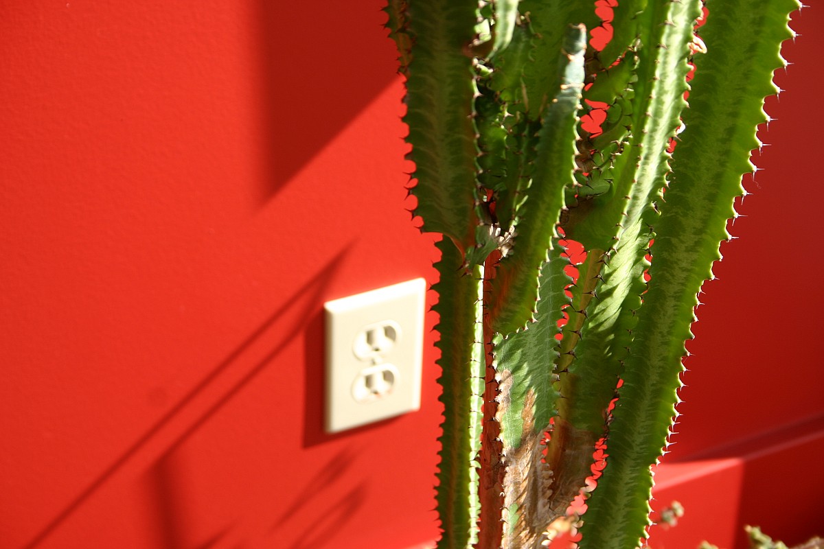 What Should You Do If an Electrical Outlet Is Hot? | Networx