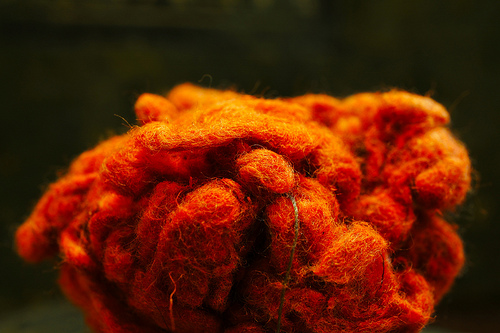 What Are 6 Sweet Uses for Lint? | Networx