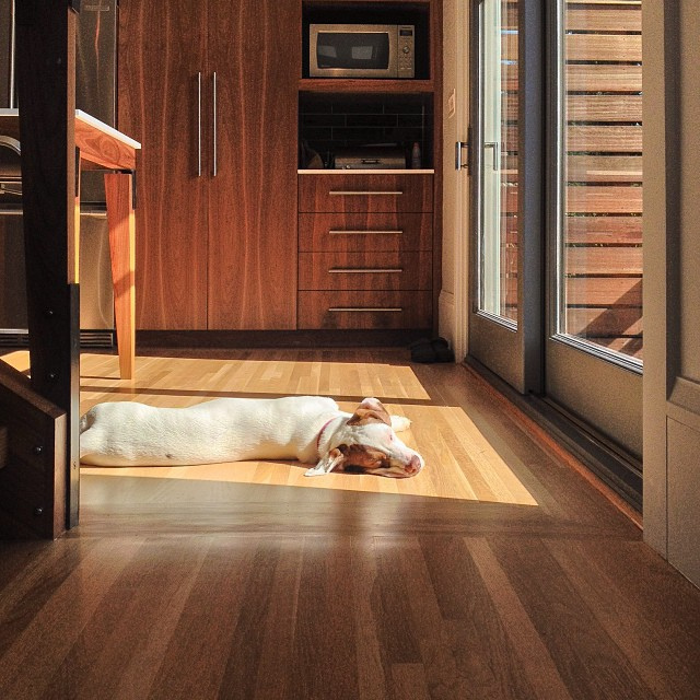 How Do You Pick the Right Flooring for Your Climate? | Networx