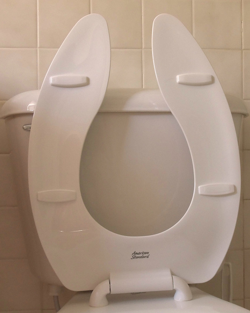 How Should You Take Care of Your Toilet? | Networx