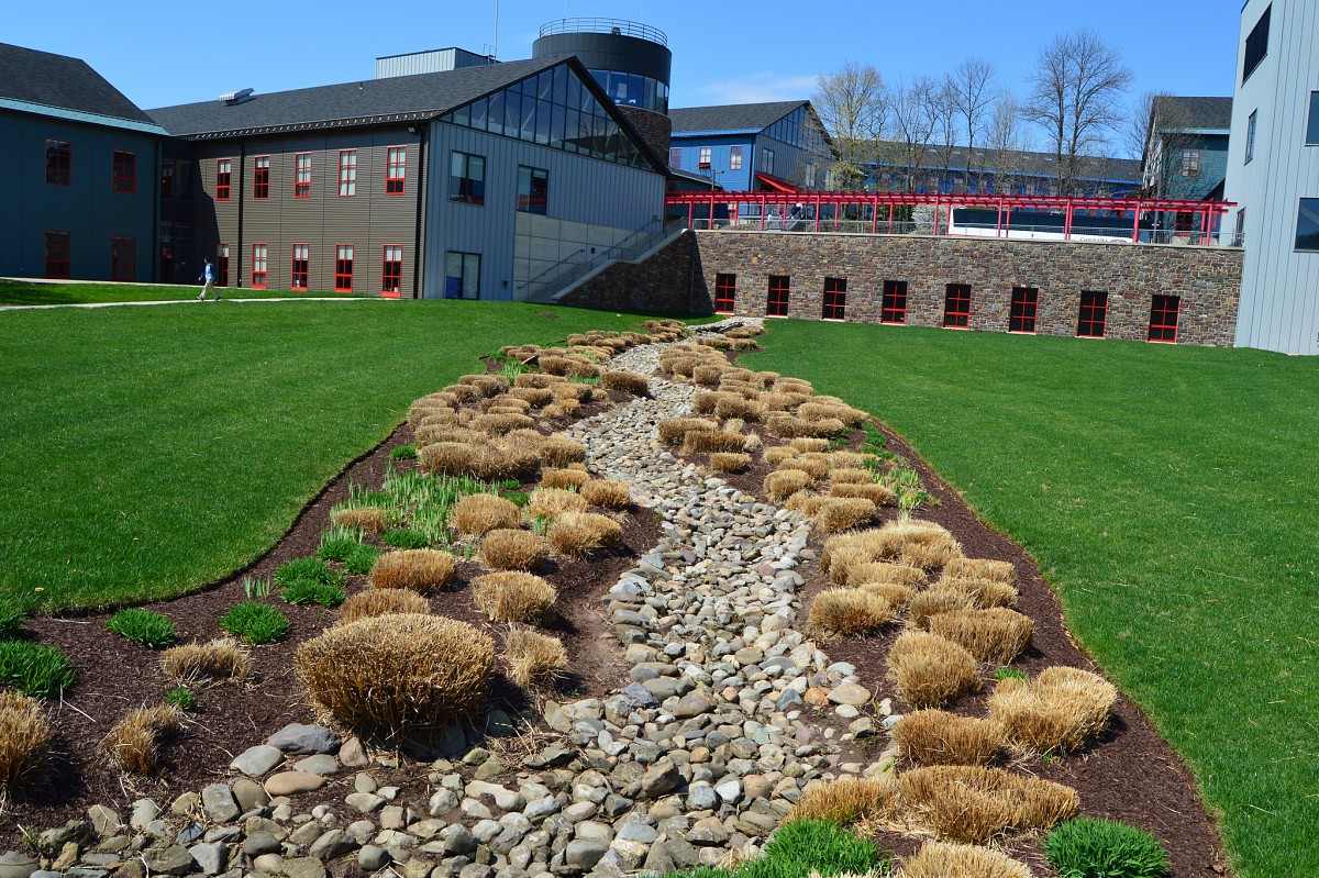What Are the Benefits of Swale Landscaping? | Networx