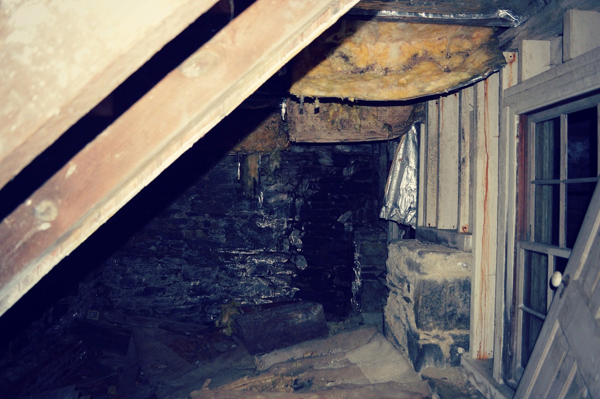 How Do You Identify and Get Rid of Bad Basement Smells? | Networx