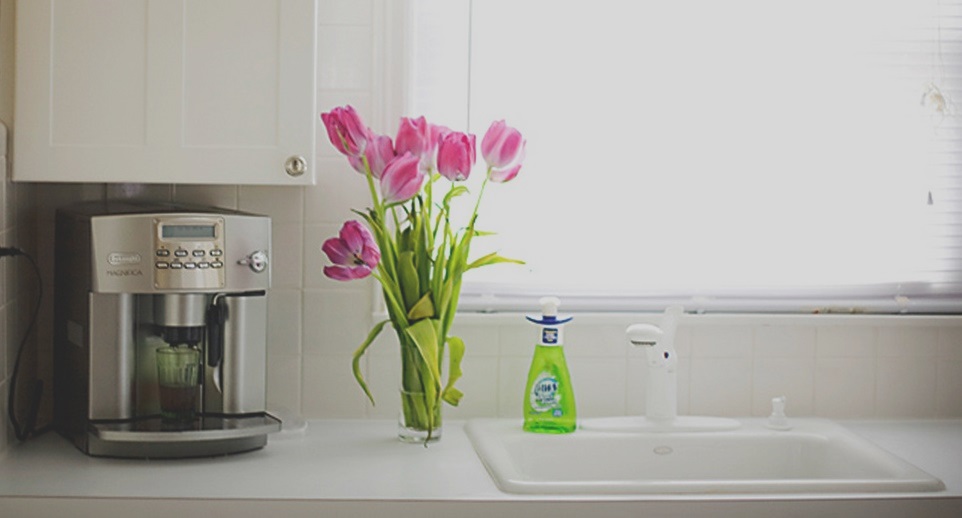 What Are 7 Do's and Don'ts to Combat Kitchen Germs? | Networx