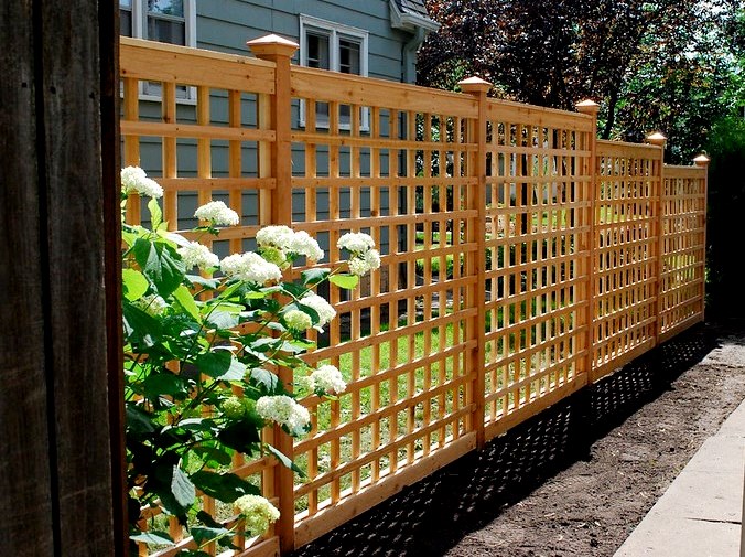 How Do You Pick a Budget-Friendly Fencing Style? | Networx