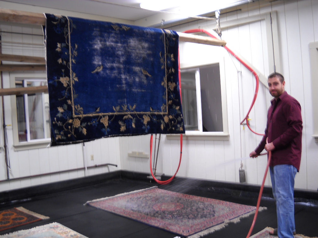 What Are Some Tips from a Professional Carpet Cleaner? | Networx