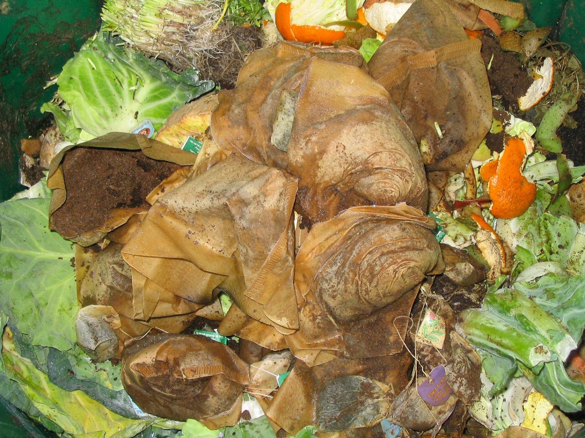 What Is the Science Behind Compost? | Networx