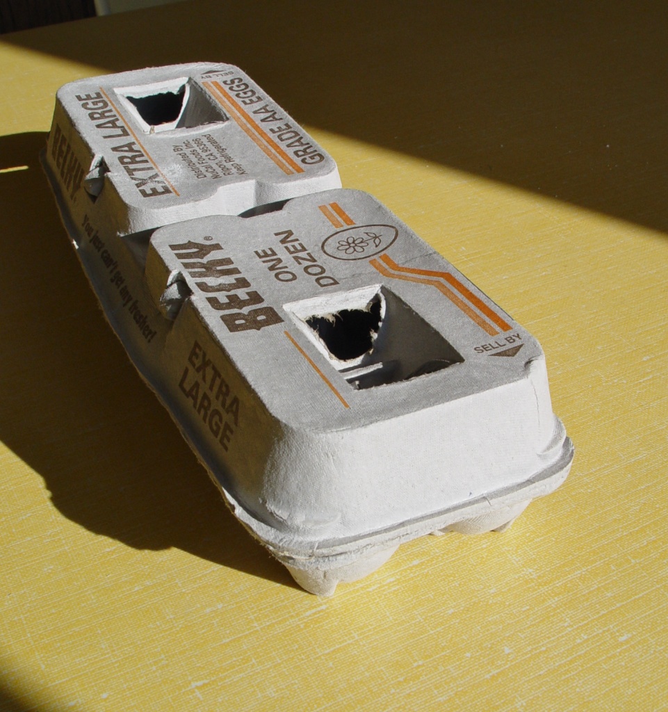 What Are 10 Smart Uses for Egg Cartons? | Networx