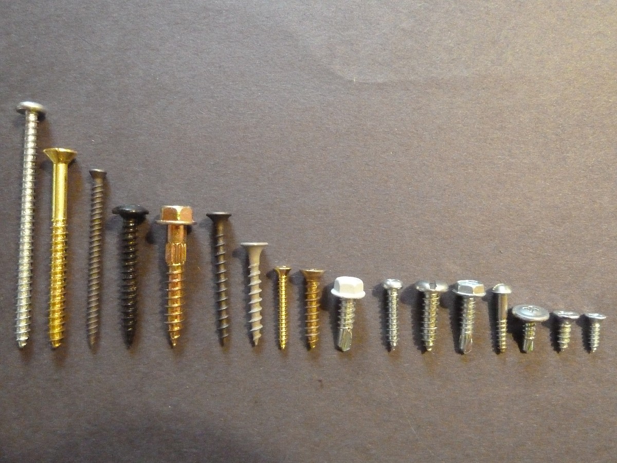 What Are the Different Types of Screws and Their Uses? | Networx